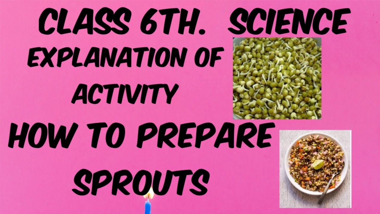 class 6th Science | Explanation of how to prepare sprouts - YouTube