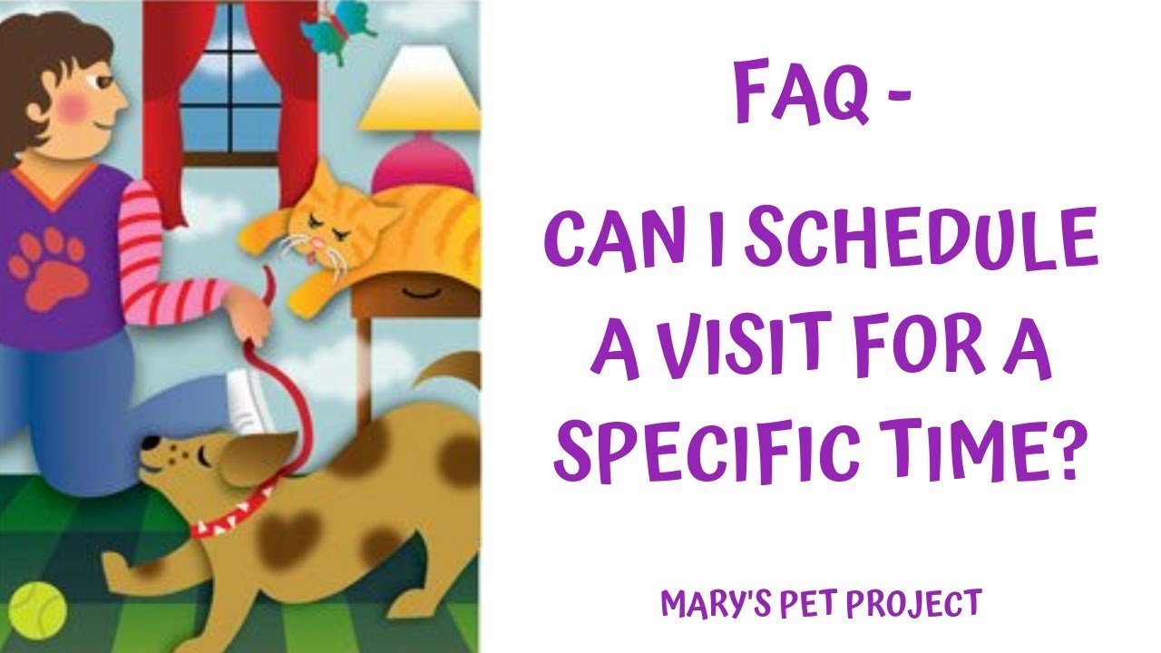 FAQ - Can I schedule a visit for a specific time? - YouTube