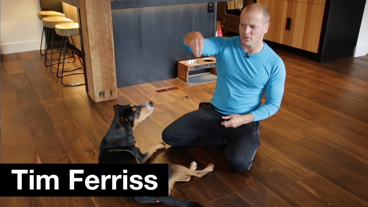 Dog tricks: command, safety, and vanity | Tim Ferriss - YouTube