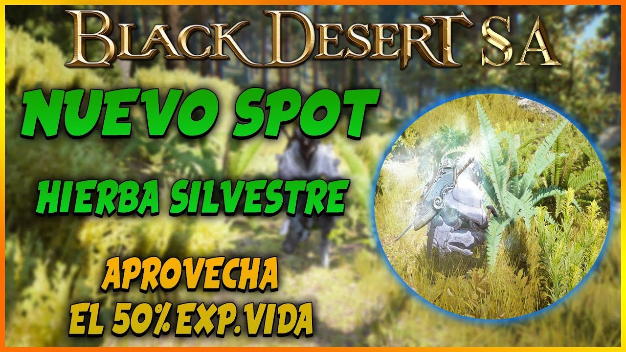 BLACK DESERT LATINO || NUEVO SPOT DE HIERBAS SILVESTRES - TRENT || BDO ...