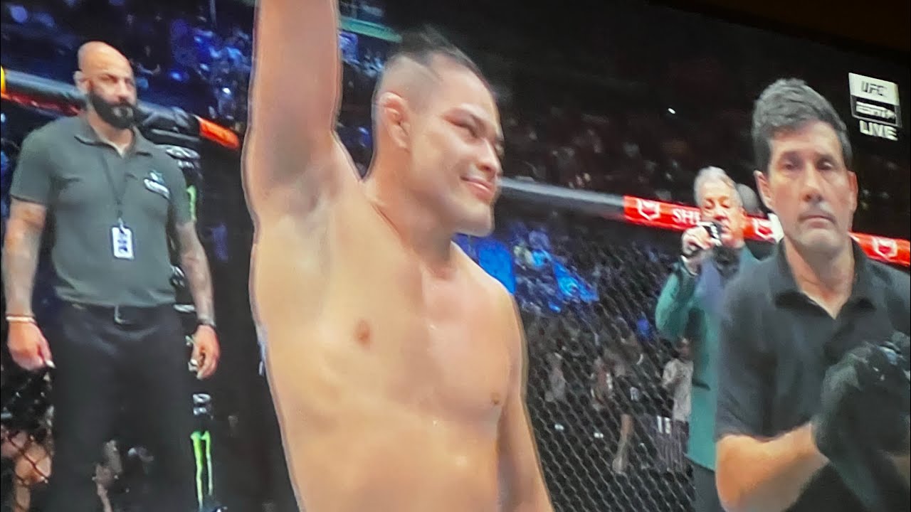 UFC Fight Highlights [UFC295] - YouTube