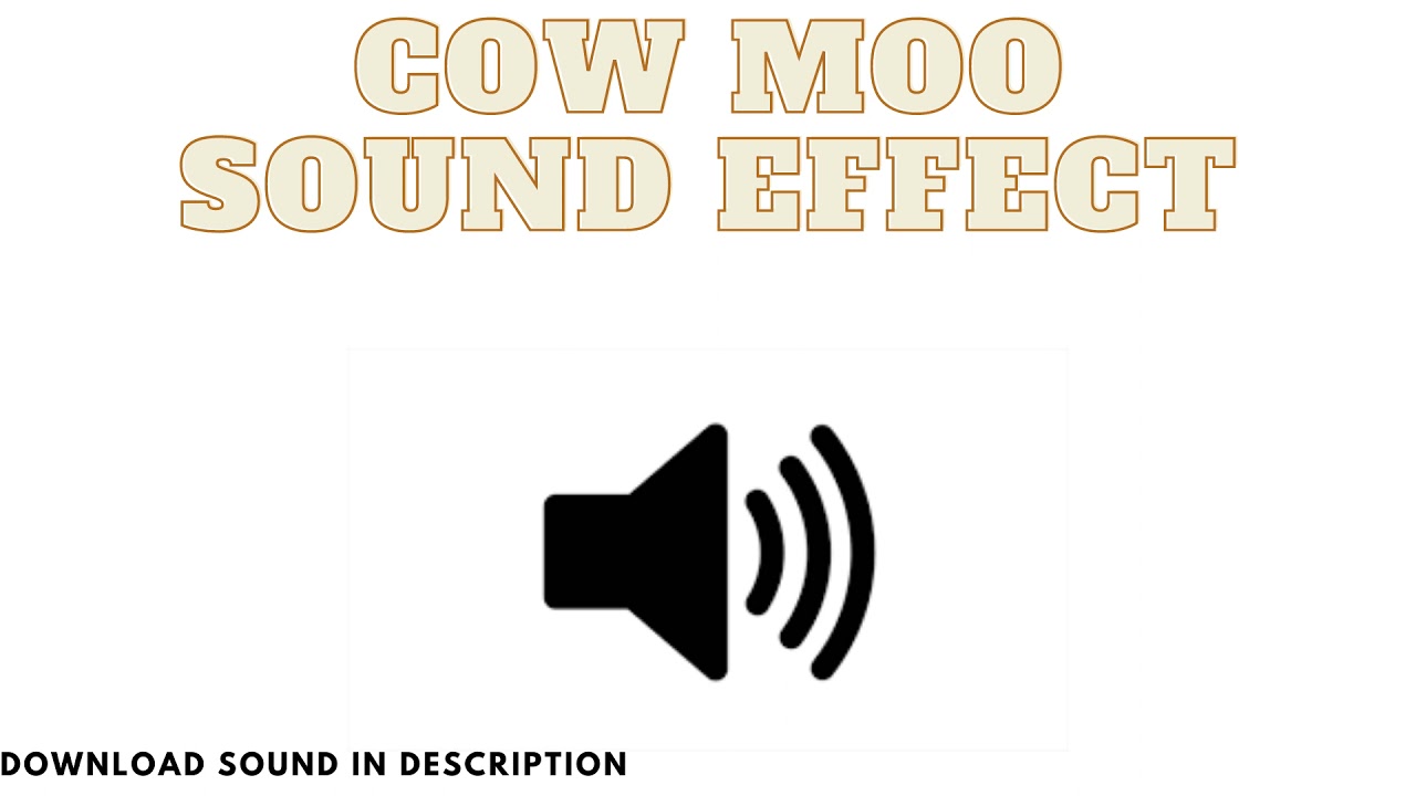 Cow Moo Sound Effect - YouTube