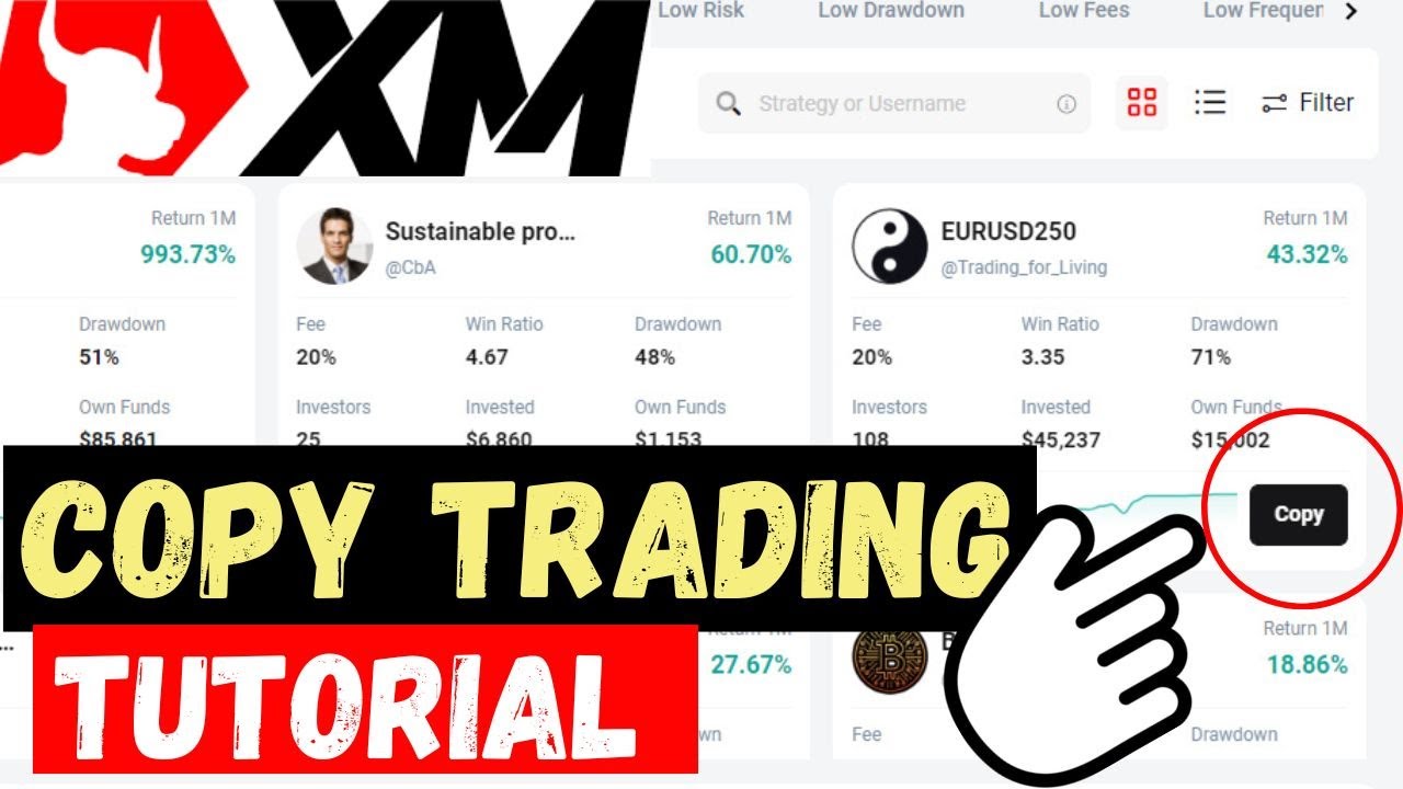 🤑 Cómo Funciona el Copy Trading de XM Bróker: Aprende Cómo Hacer en ...