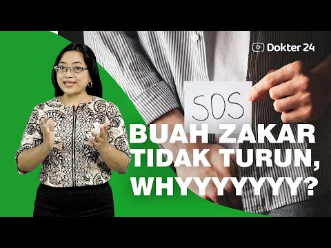 Dokter 24 - Buah Zakar Tidak Turun, Apa Penyebabnya? Bahaya Nggak Ya?