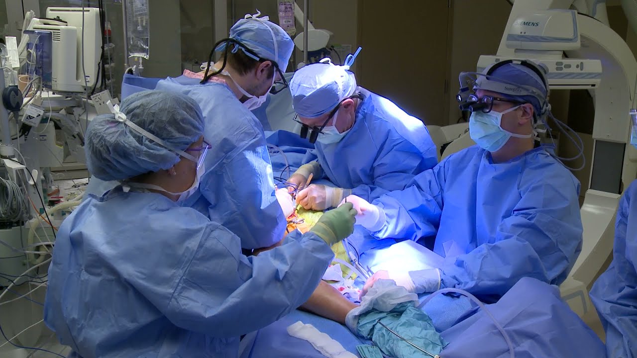 LeMaitre Valvulotome - YouTube