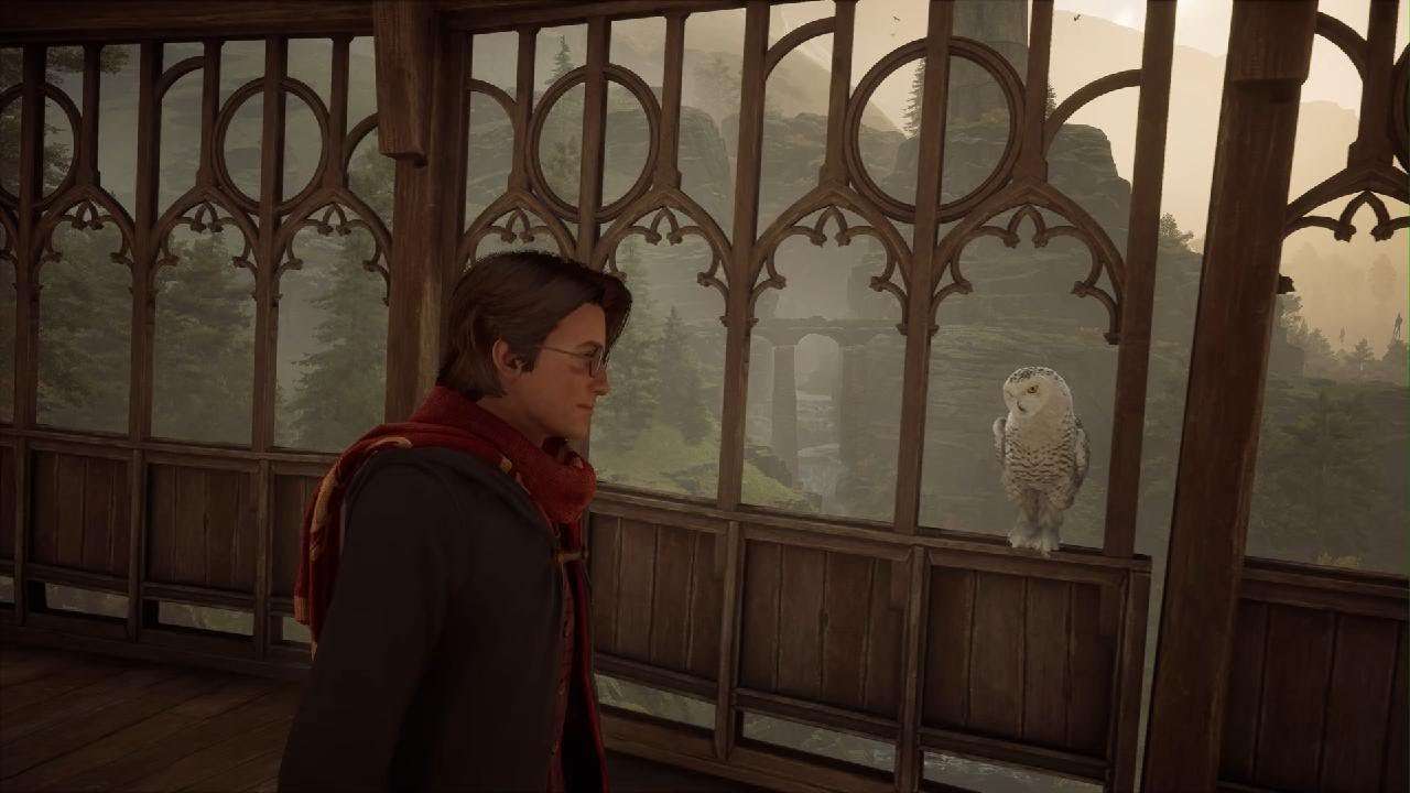 Hogwarts Legacy Hedwig - YouTube