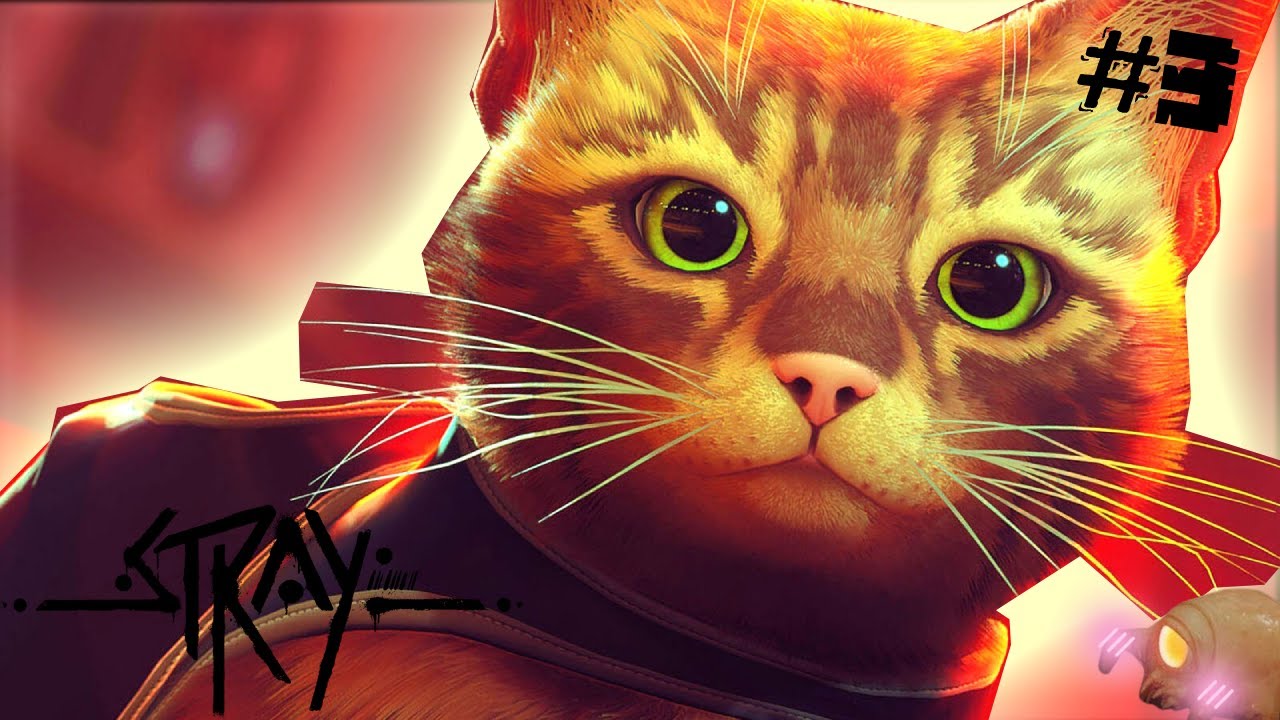 Stray Episode 3 - YouTube