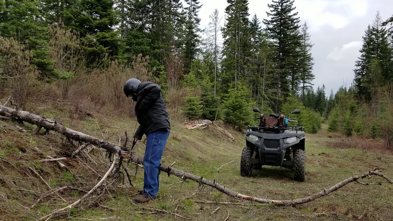 Clearing a fallen tree when riding your ATV - YouTube