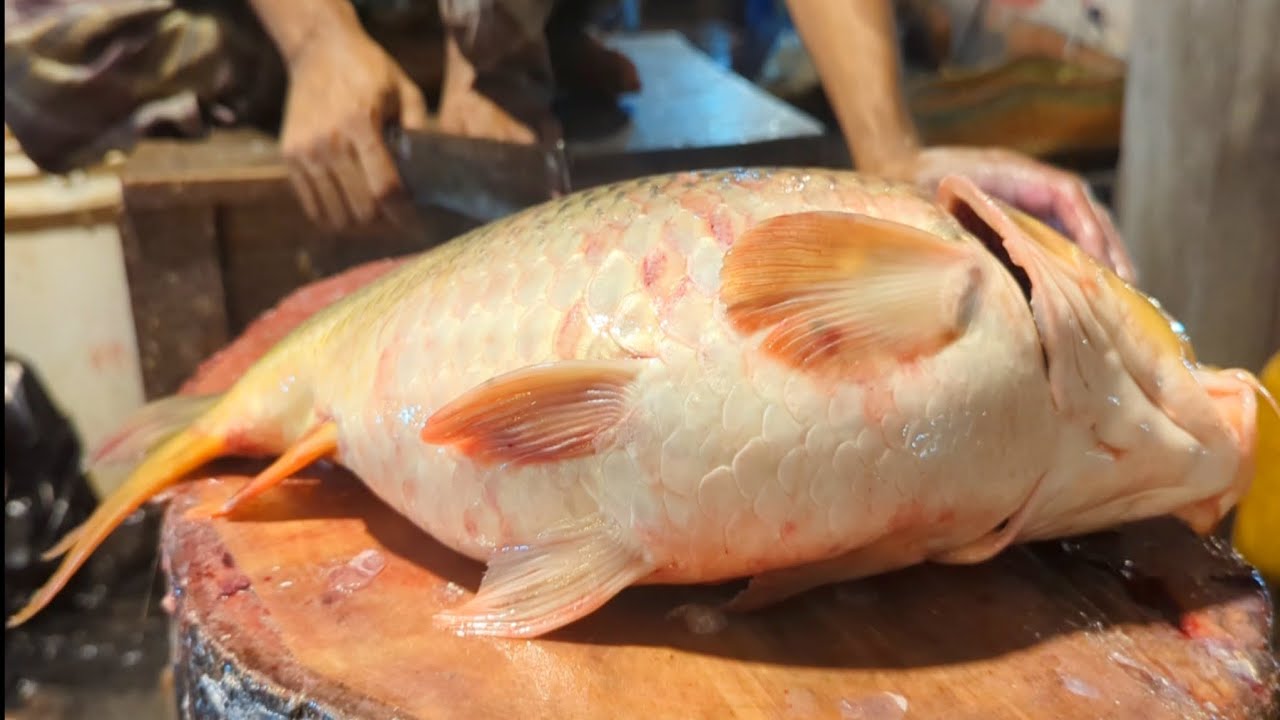 Amazing Huge Golden Carp Fish Cutting & Chopping In Fish Market | Fish ...