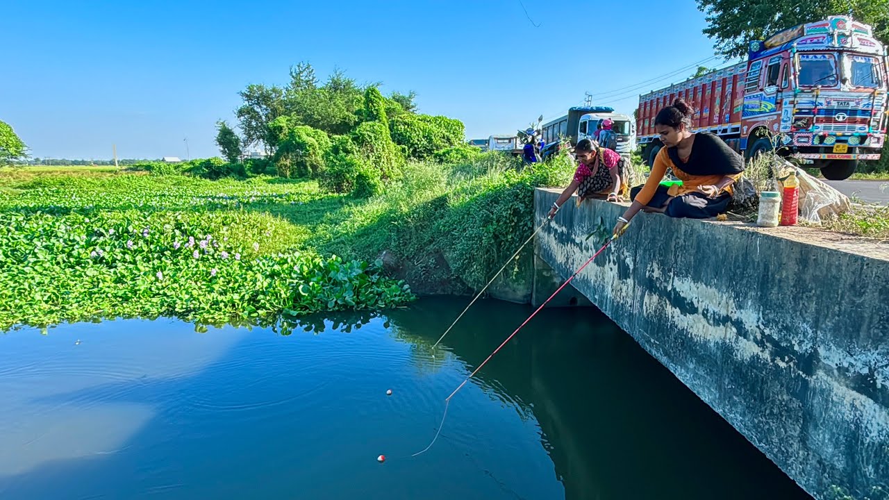 Amazing Fishing Video in road Side canal🐬🐬 | Village Lady Catch Big ...