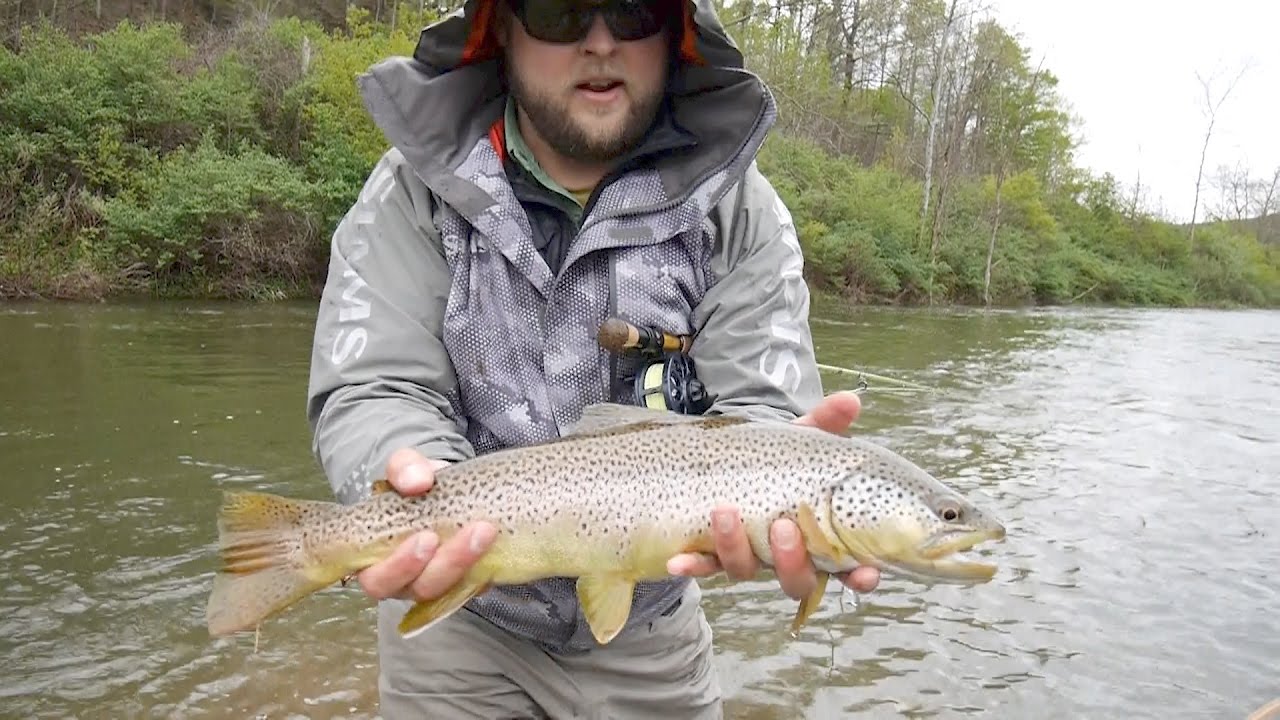 Streamers and dries on the "D" Modern fly fisher - YouTube