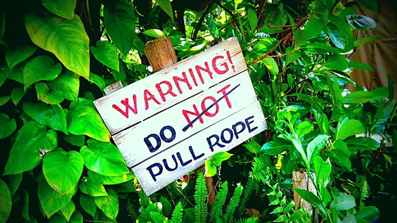 Pull the Rope at Indiana Jones Epic Stunt Spectacular Hollywood Studios ...