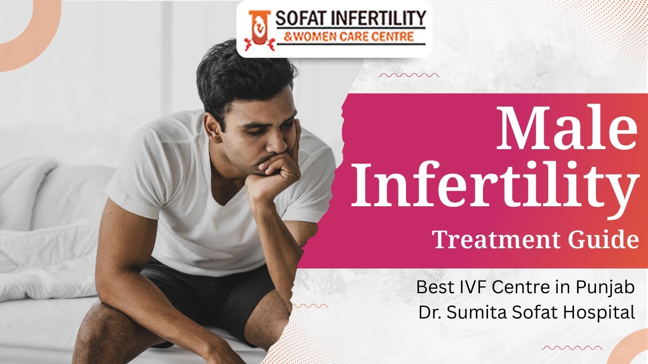 Male Infertility Treatment Guide | Best IVF Centre in Punjab | Dr ...