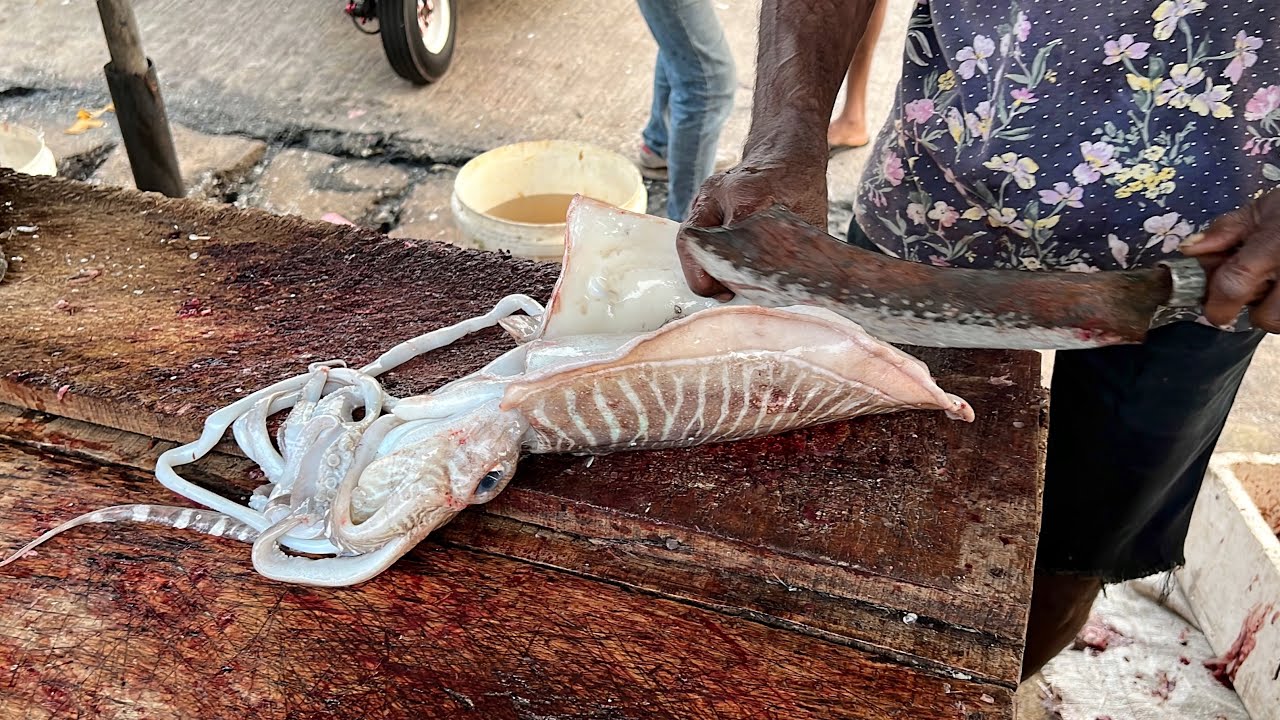 Fresh Cuttlefish Cleaning| How to Clean Cuttlefish - YouTube