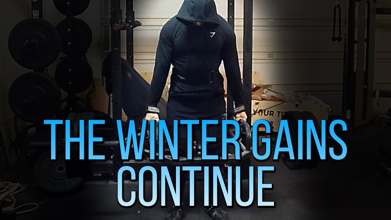 Back Workout: Pull-Ups / BB-Row / Hex Deads - Bajheera Gym Highlights ...