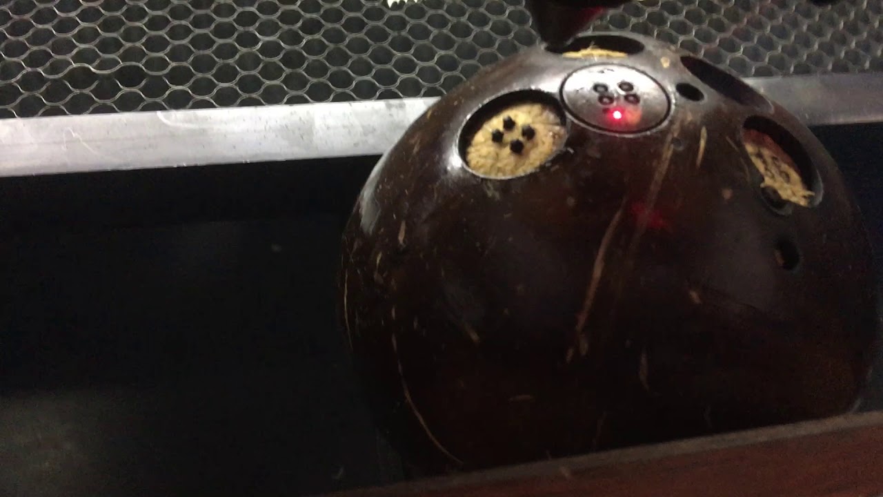 CO2 laser engraving and cutting coconut, coconut laser cutting, laser ...