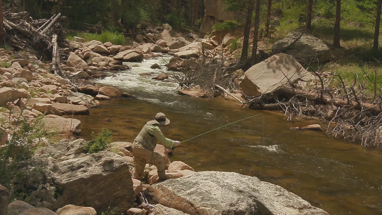 Fly Fishing North St. Vrain Creek, Colorado - YouTube