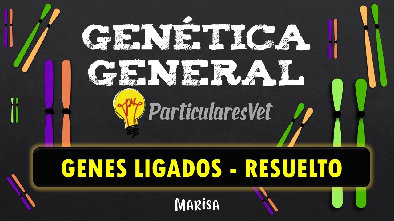 EJERCICIO RESUELTO GENES LIGADOS - Cruza de prueba - ASOCIACIÓN DE GENES - Tutorial de ...