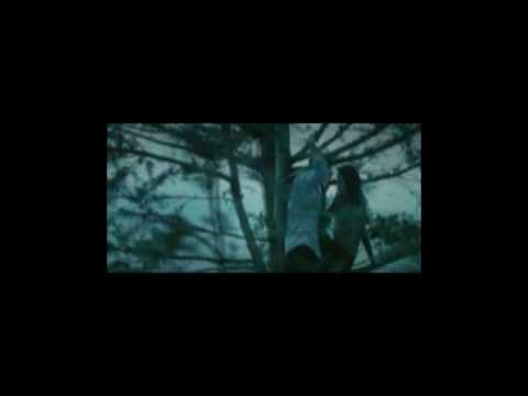 Darin- Runaway - Twilight Movie Soundtrack (OFFICIAL MUSIC VIDEO) 2008