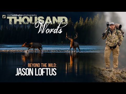 Beyond the Wild | Thousand Words with Jason Loftus - YouTube