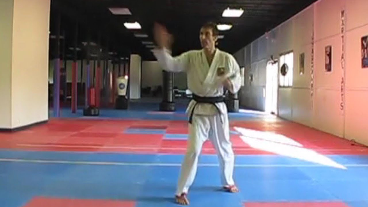 Wansu - Sensei Chris Wissmann #karate #karate #kata - YouTube