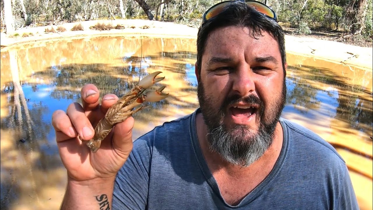 What size yabbies are big enough to eat - YouTube