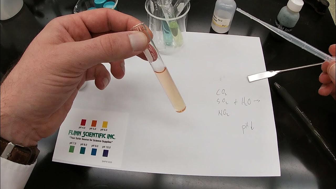 Acid Rain Experiment - YouTube