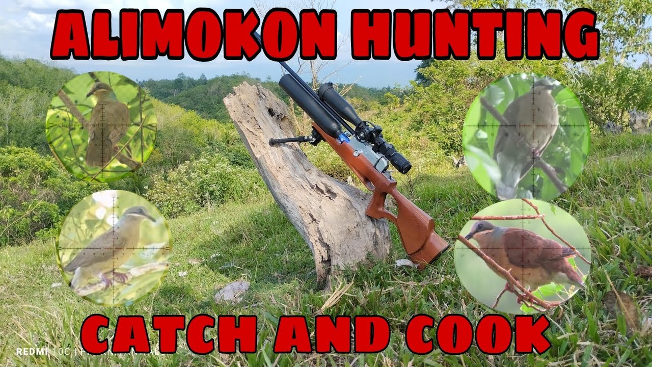 PCP HUNTING//Alimokon hunt..#airgunner #buhayprobinsya #catchandcook ...