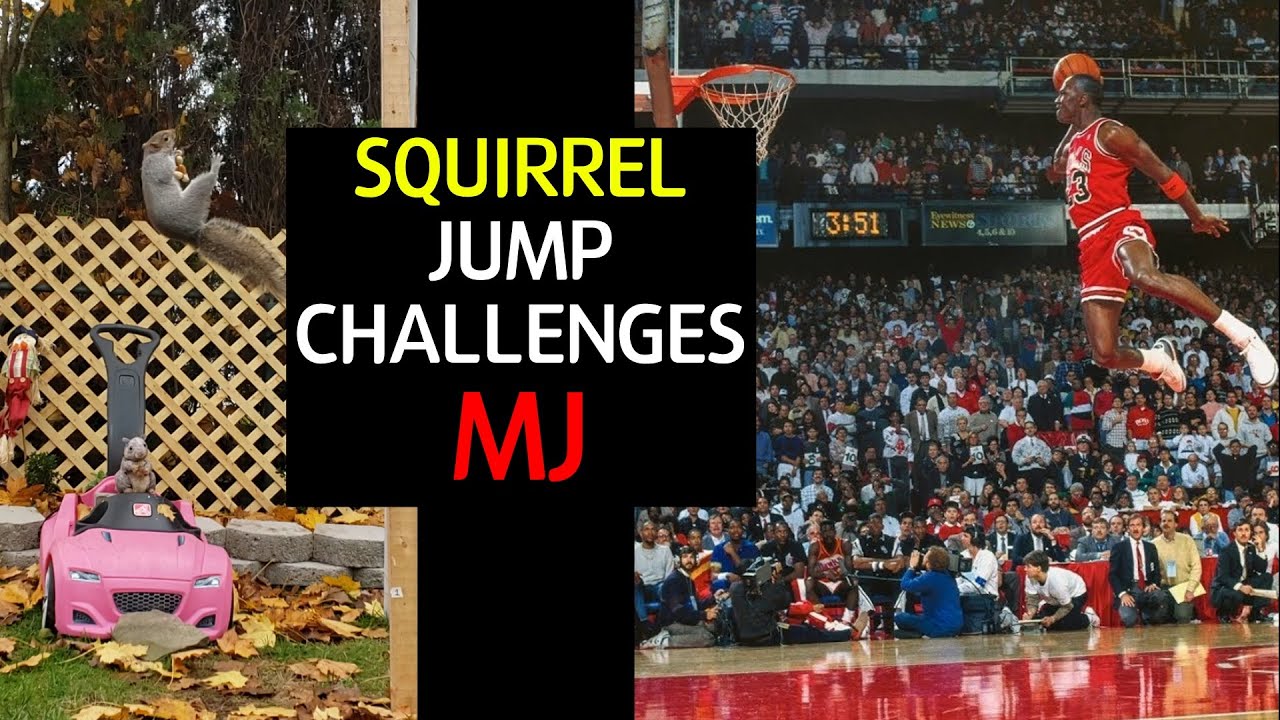 Michael Jordan and Squirrel Jump Challenge / 마이클조던과 다람쥐의 점프 도전기 - YouTube