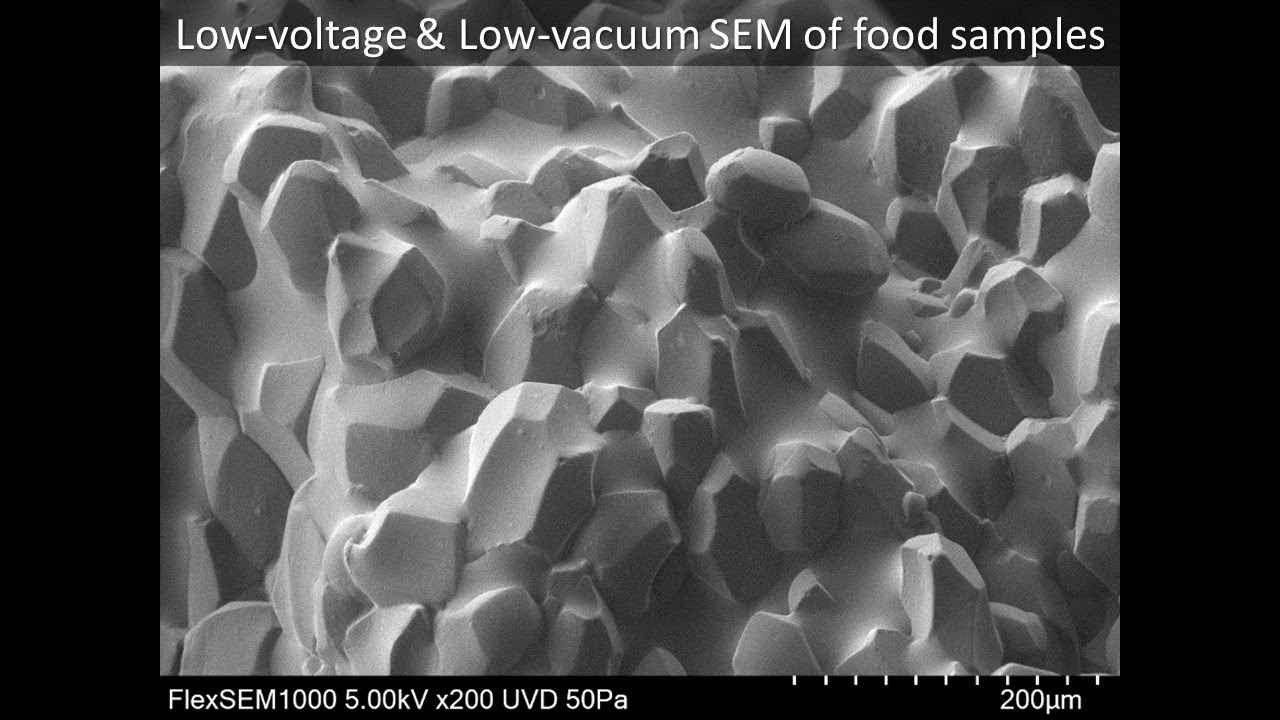 [Life] Low-voltage & Low-vacuum SEM of food samples - YouTube