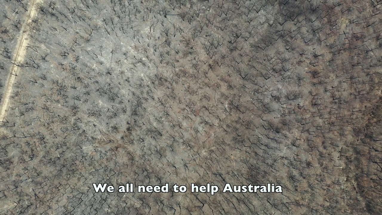 The Sad Facts Of What Happen To Australia After The Worst Bushfires ...