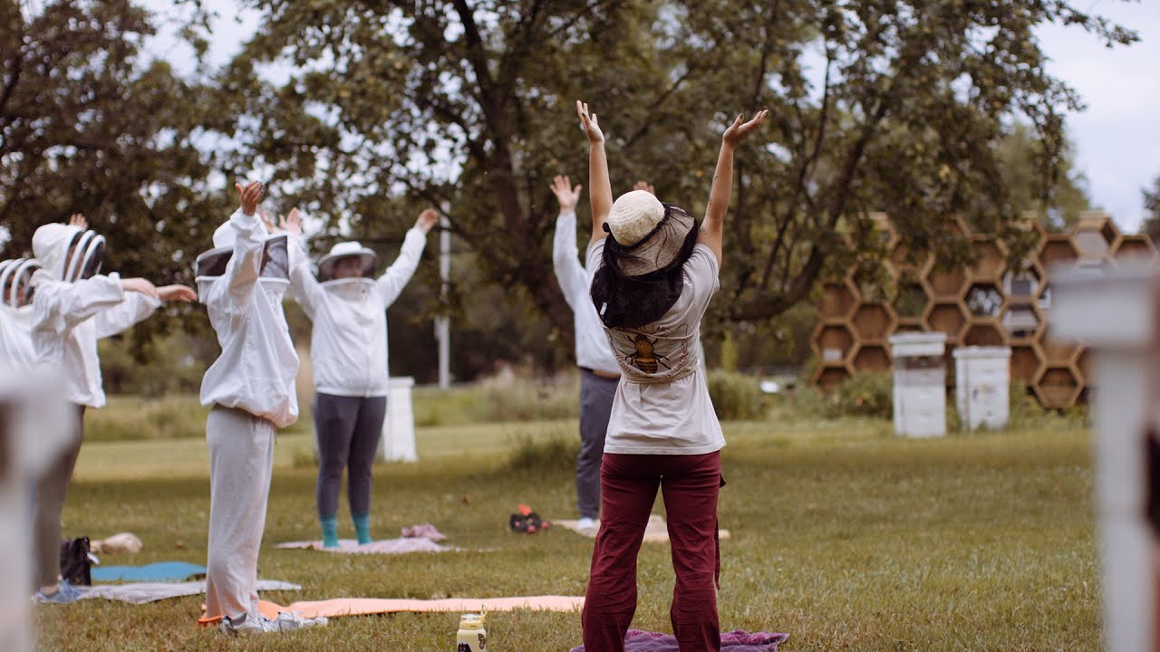 Bee Yoga at University of Nebraska–Lincoln - YouTube