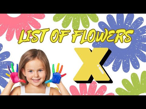 Flowers | Letter X | ABC | Alphabet - YouTube