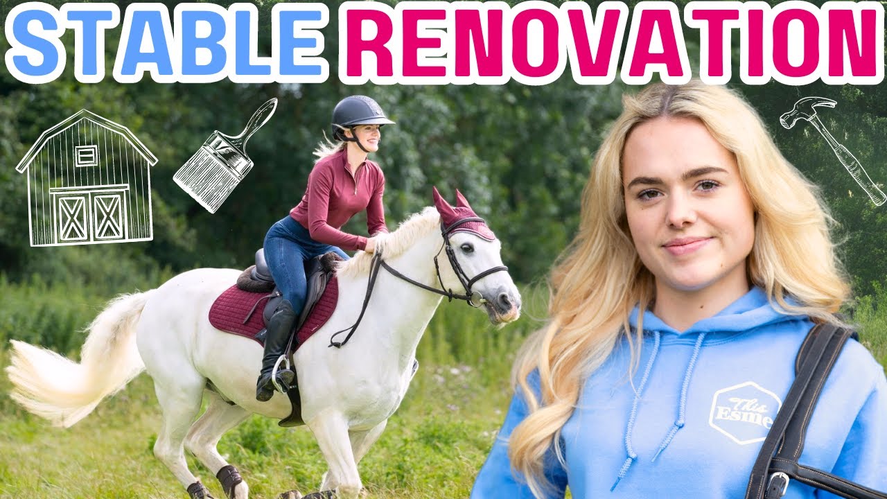 What's next? More satisfying Stable Renovation! This Esme - YouTube