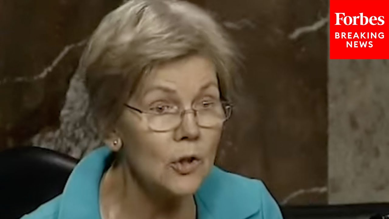 'It Troubles Me That You Don't Remember This': Elizabeth Warren Grills ...