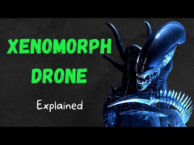 Xenomorph Drone Xenomorph Drone (Alien 1979) By Vertell On DeviantArt