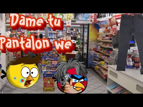 El Gansito y el asalto | Team Bird 2021 - YouTube