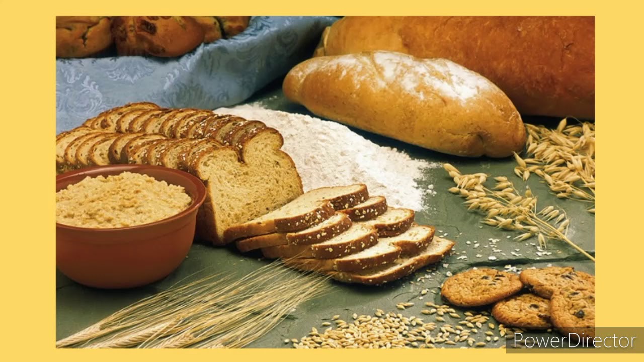 NST Grade 6 Starch Test - YouTube