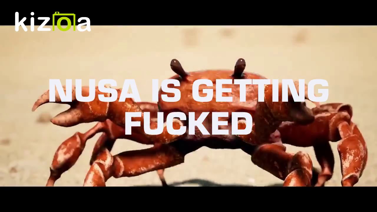 noosa meme - YouTube