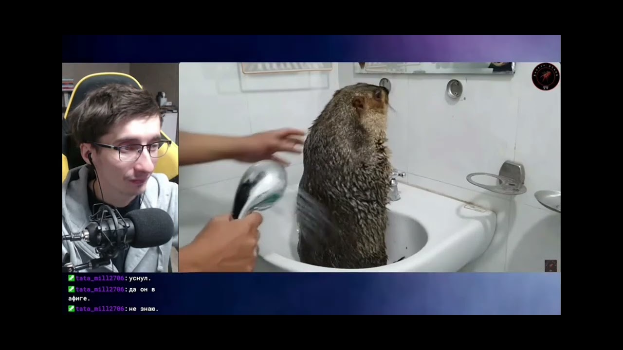 Review of the Marmot bathes in crayfish using foam shower and brushes ...