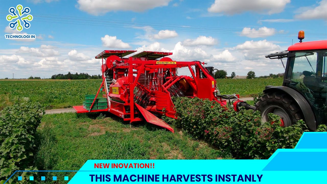 SUPER ADVANCED ! Super Fast Fruit Picking Machine - Harvester - YouTube