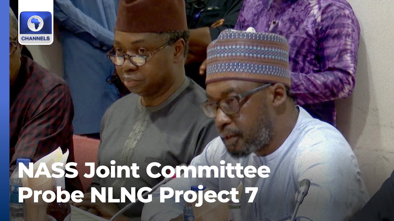 Gas Exploration: NASS Joint Committee Probe NLNG Project 7 - YouTube