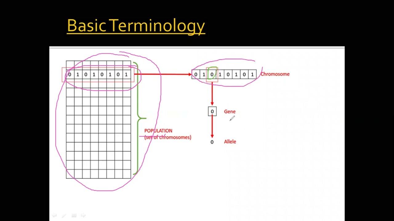 Introduction to Genetic Algorithm - YouTube