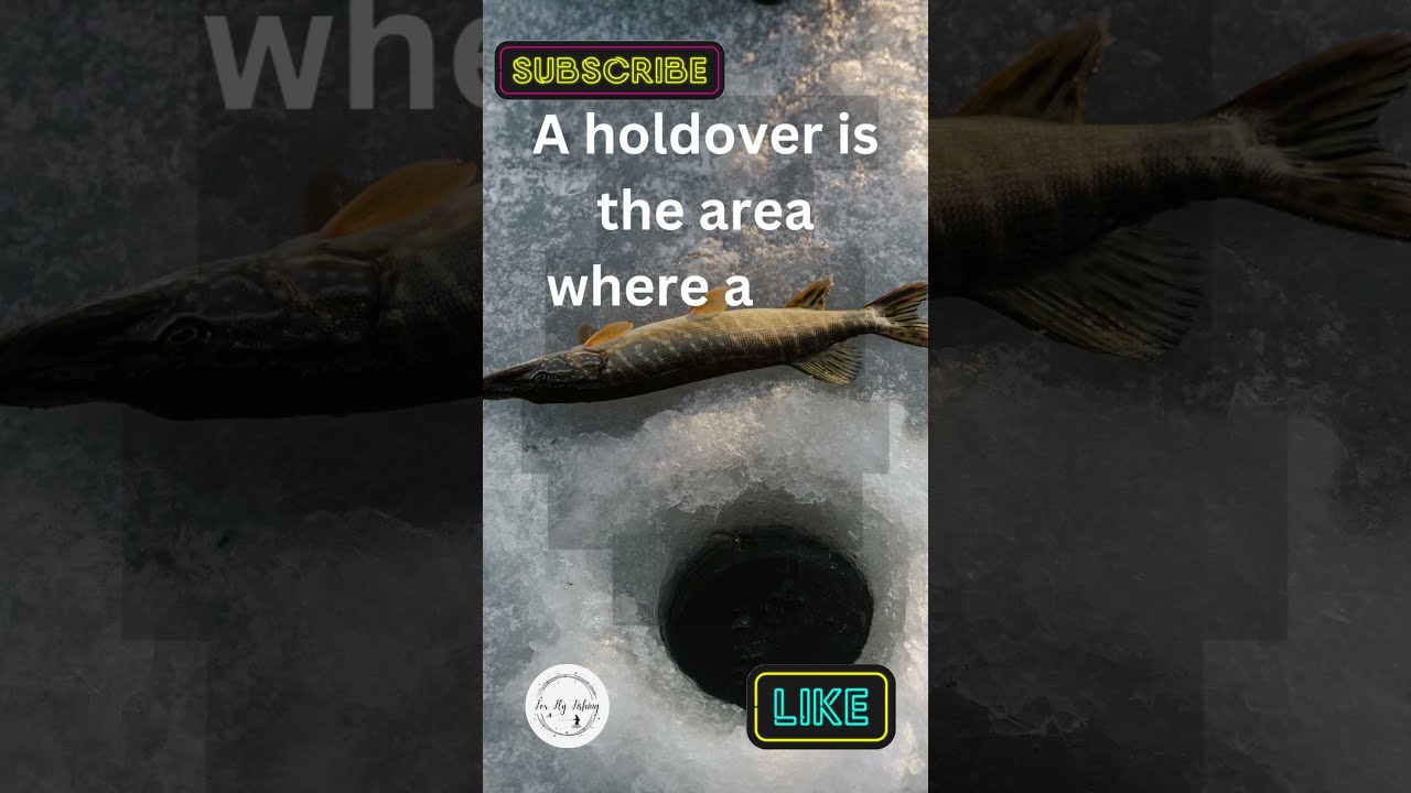 What Is A Holdover YouTube What Is A Holdover YouTube