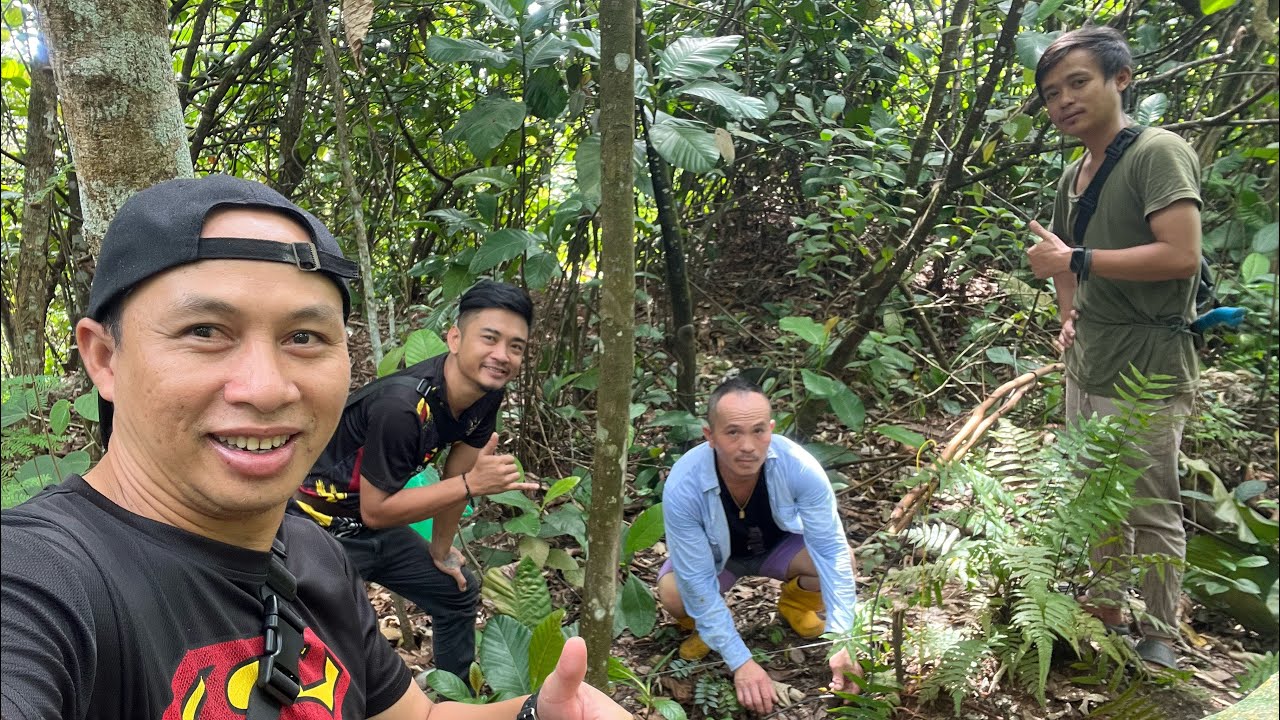 Sambung part 2 Mamasang Jerat Babi Hutan - YouTube