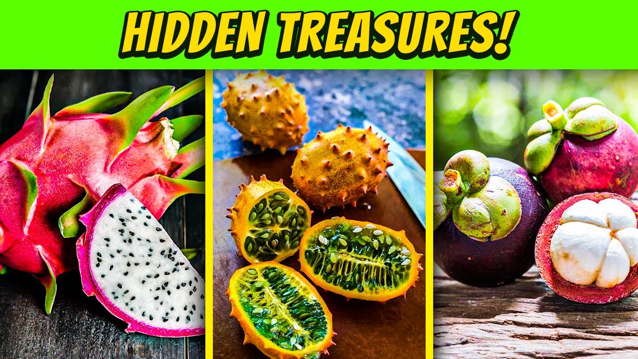 Exotic Fruit Expedition: Unveiling Nature's Hidden Treasures! - YouTube