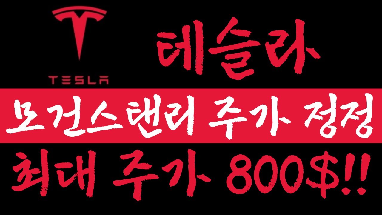 테슬라 모건스탠리 주가 정정 최대 주가 800달러 테슬라 테슬라주가 테슬라주가전망 테슬라주식 테슬라전망 일론머스크 테슬라관련주 Ai관련주 Ai