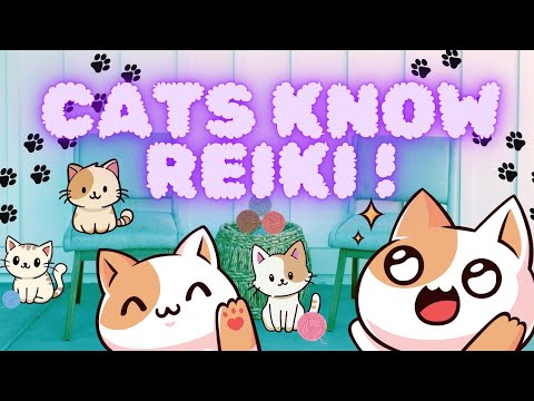 Cats Know REIKI! 😺🐾 Energy Healing with my Cat - YouTube