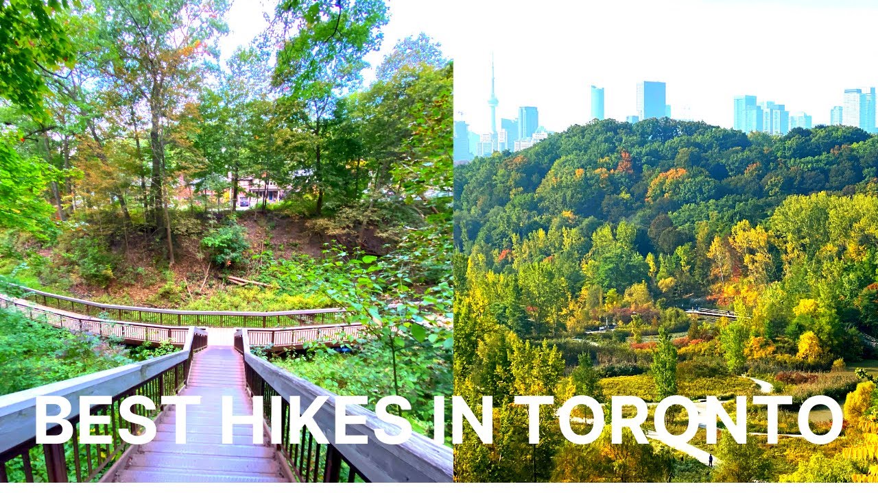 BEST WALKING TRAILS IN TORONTO / stairs, beach and lush forest - YouTube