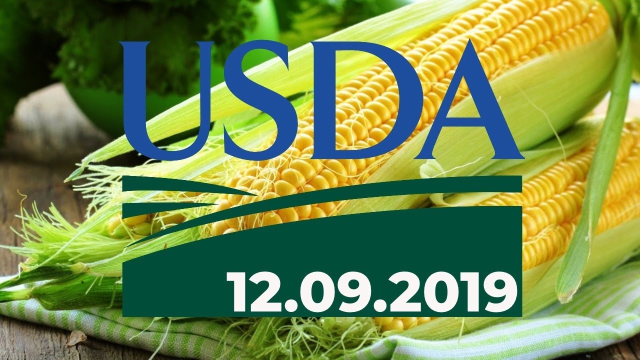 Отчет USDA 12.09.2019(USDA report) - YouTube
